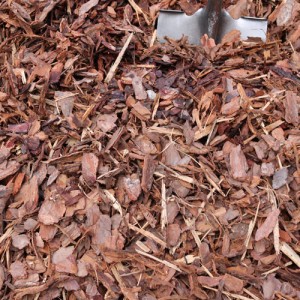 Mini Pine Bark Nuggets - Yard Works Landscape Supply