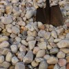 Large White River Rock 1 inch+ - Yard Works Landscape Supply